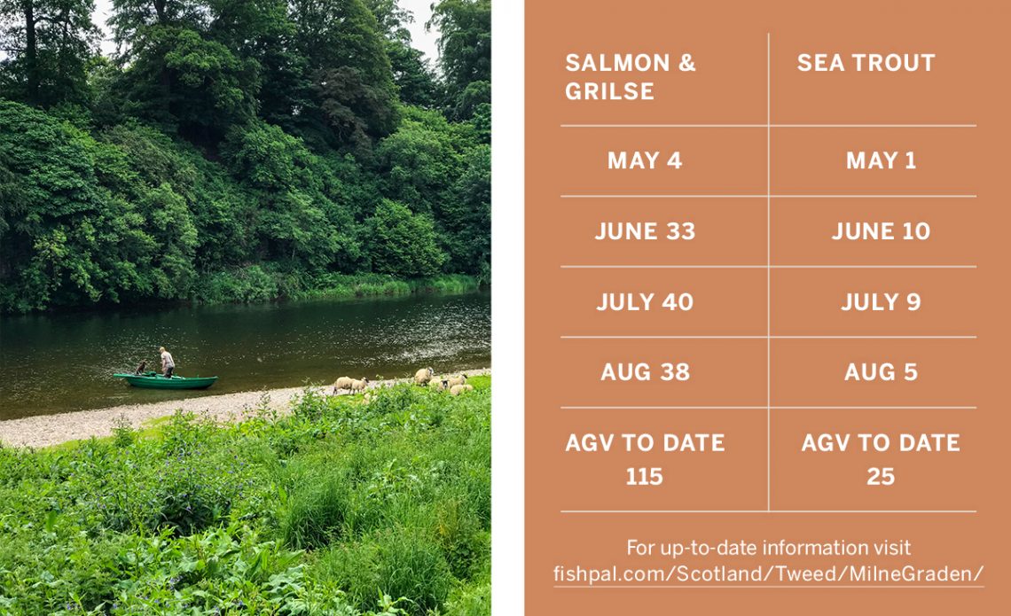 Milne Graden Team - Meet Tweed Ghillie Kev - Tales of the Tweed