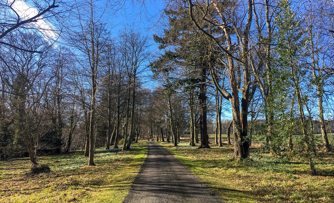 Welcoming in February at Milne Graden - Tales of the Tweed