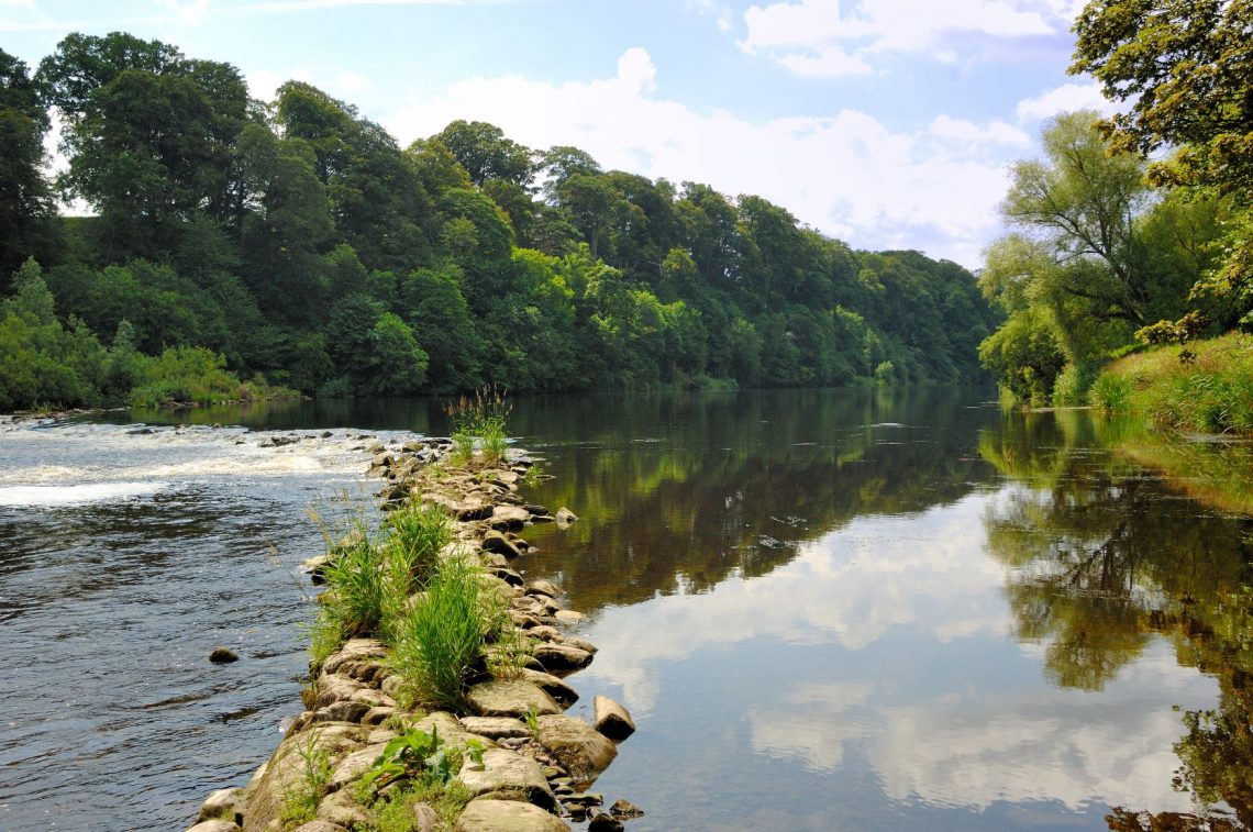 Discover the story of the Milne Graden Estate Tartan - Tales of the Tweed